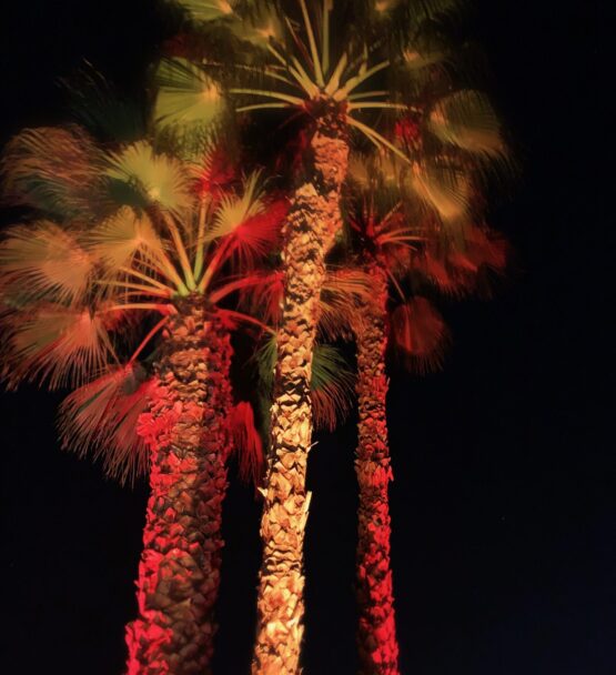 Home Page - Palm Springs Colors